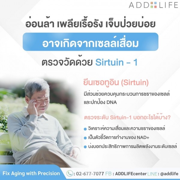 Addlife Blog I Sirtuins in Aging and Longevity